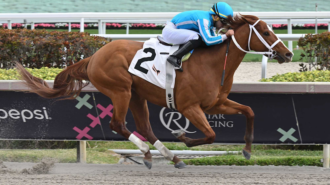 Curlin Florida Derby Day Notes | Gulfstream Park