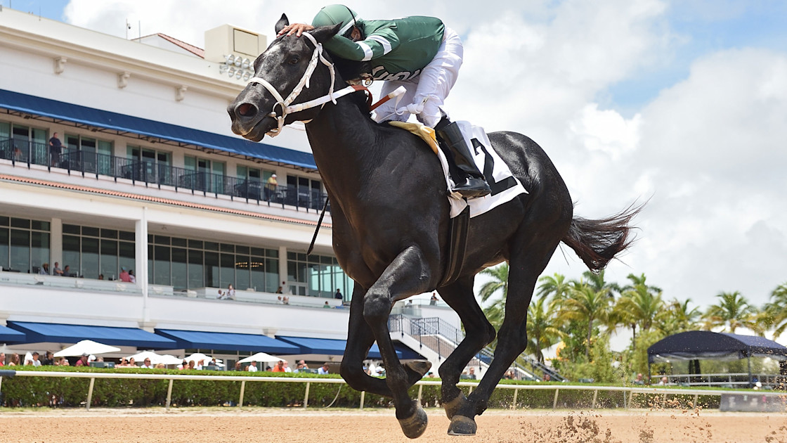 Undefeated Rated by Merit Seeks Sweep of Florida Sire Stakes Series ...