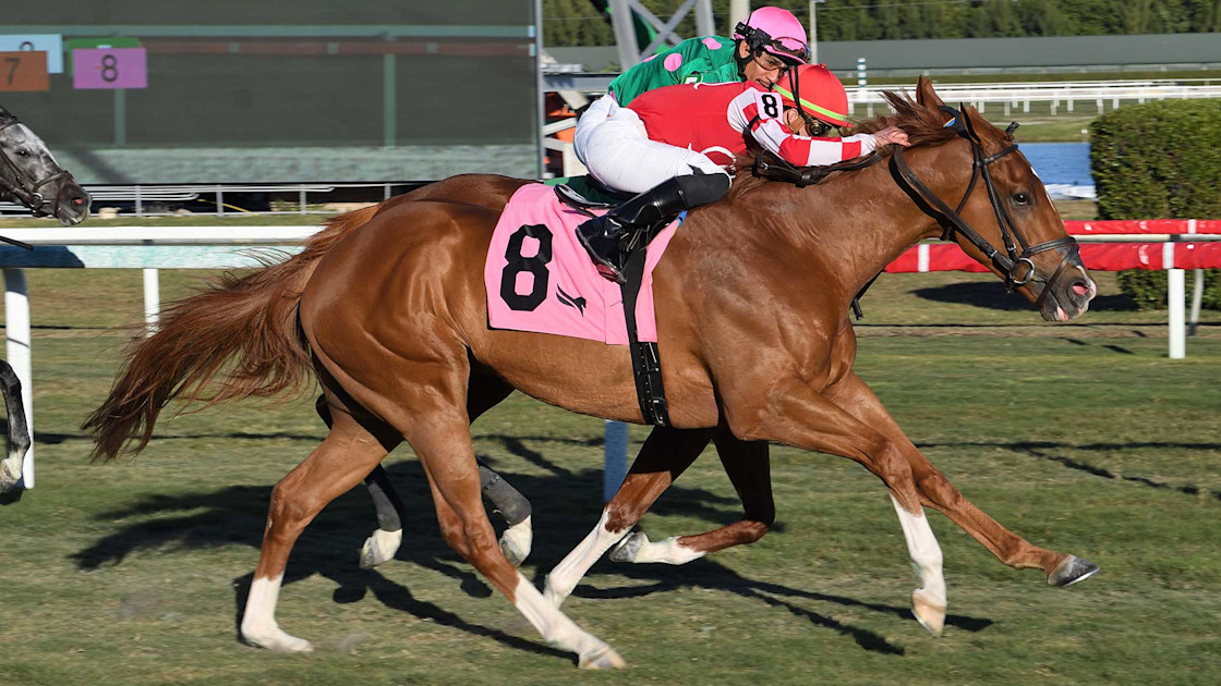 Lynch Well Represented in Weekend Handicaps at Gulfstream | Gulfstream Park