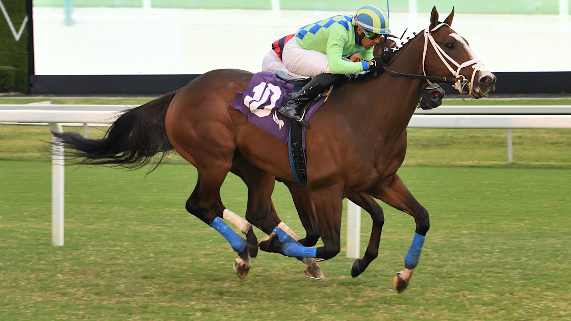 Mandatory Rainbow 6 Payout Yields Multiple $7,316 Payoffs | Hallandale ...
