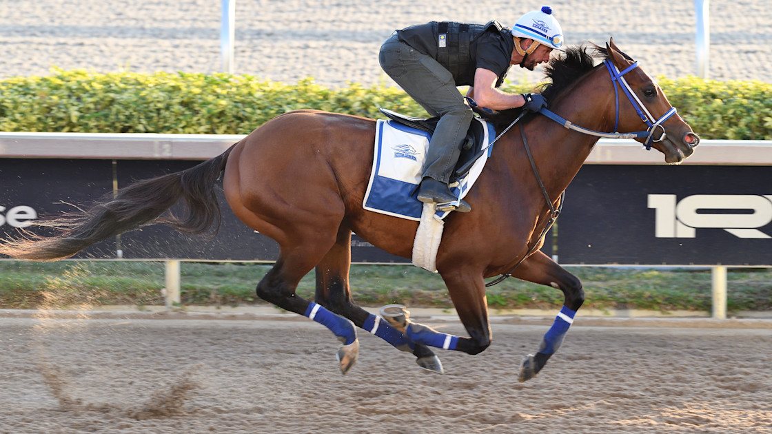 Kentucky Derby (G1) Winner Mystik Dan Works for $3 million Pegasus ...