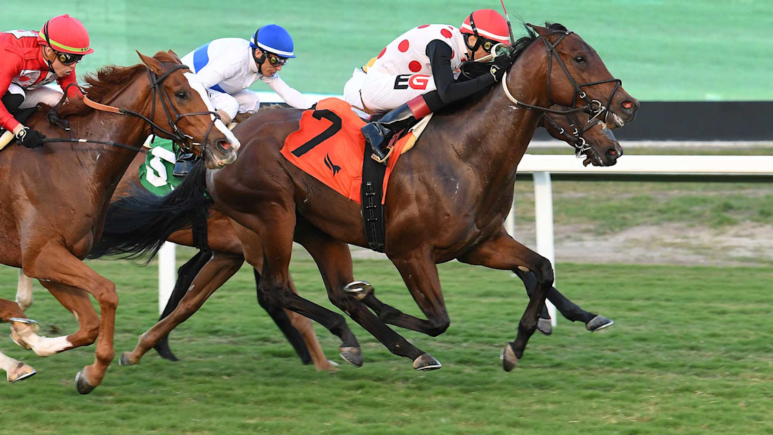 Gonzalez Rides Souper Blessing to Tropical Park Derby Victory | Hallandale Beach, Miami ...