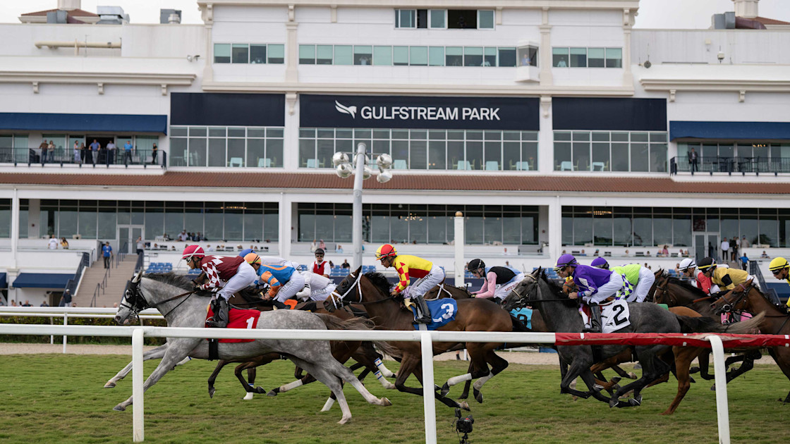 Turf Racing Resumes Friday Following 2-Week Hiatus | Hallandale Beach ...