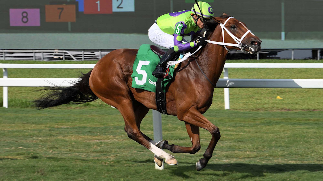 Grand Ave Girl Rolls to Victory in Monroe Stakes | Gulfstream Park