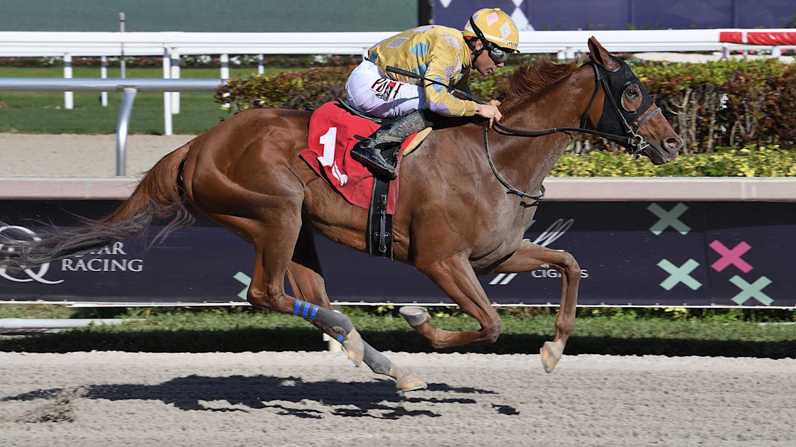 Diamond’ Wows Them in Sunday’s Feature | Gulfstream Park