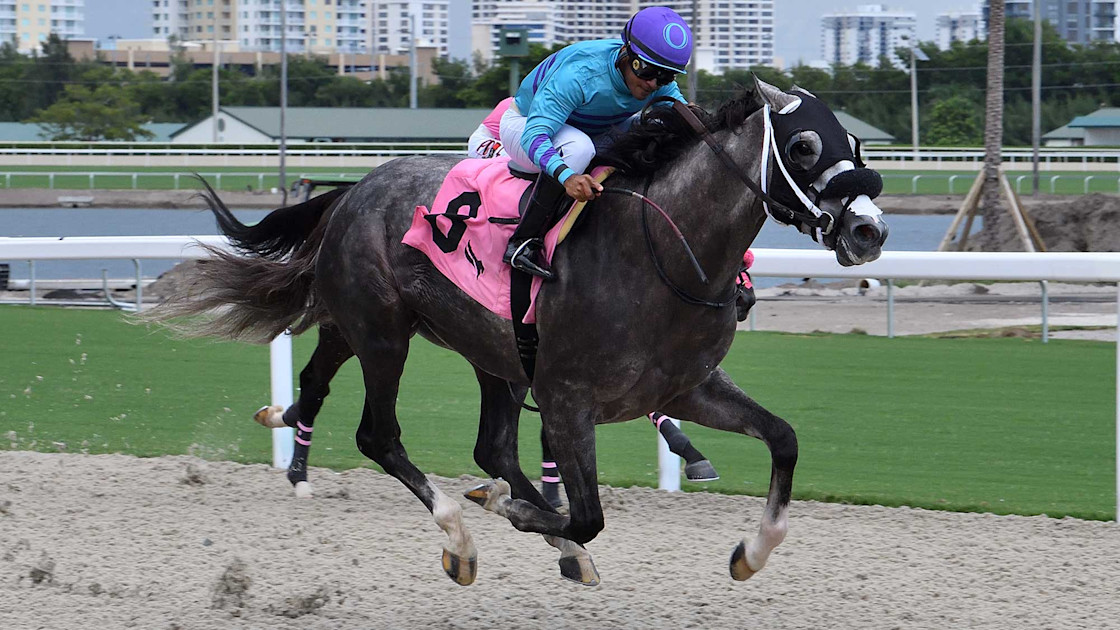 Amstrong Returns to Dominance on Tapeta in Saturday’s Bear’s Den ...