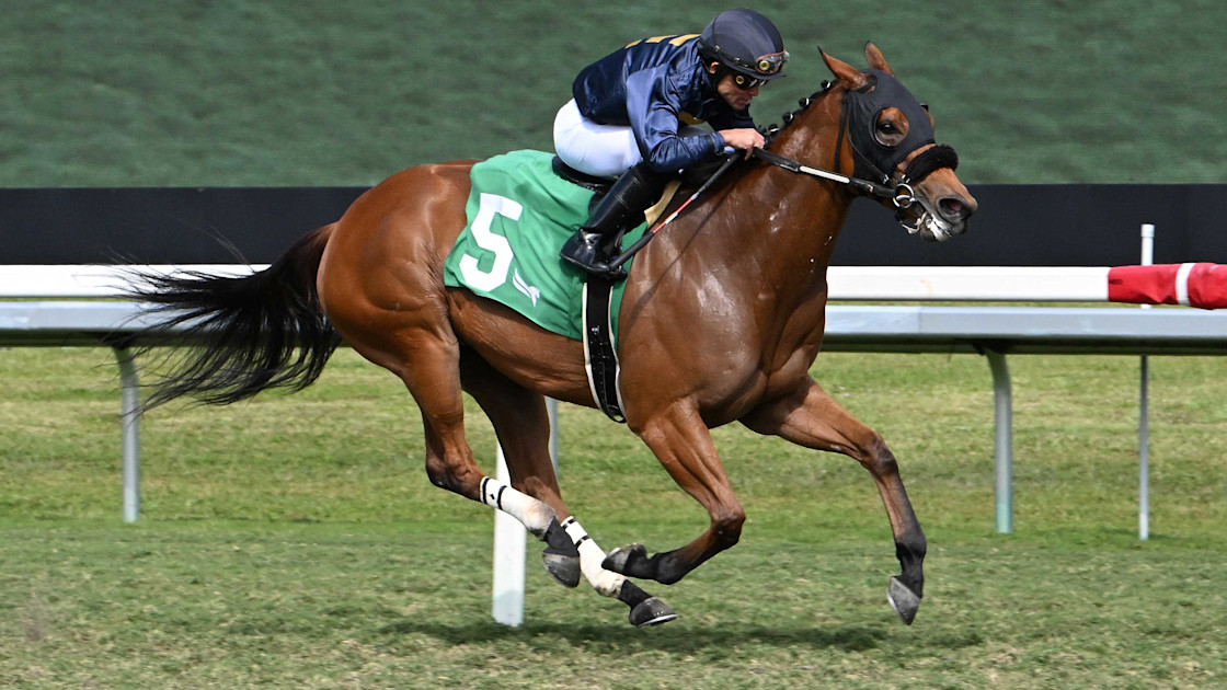 Epona’s Hope Extends Streak in $115,000 Captiva Island | Hallandale ...