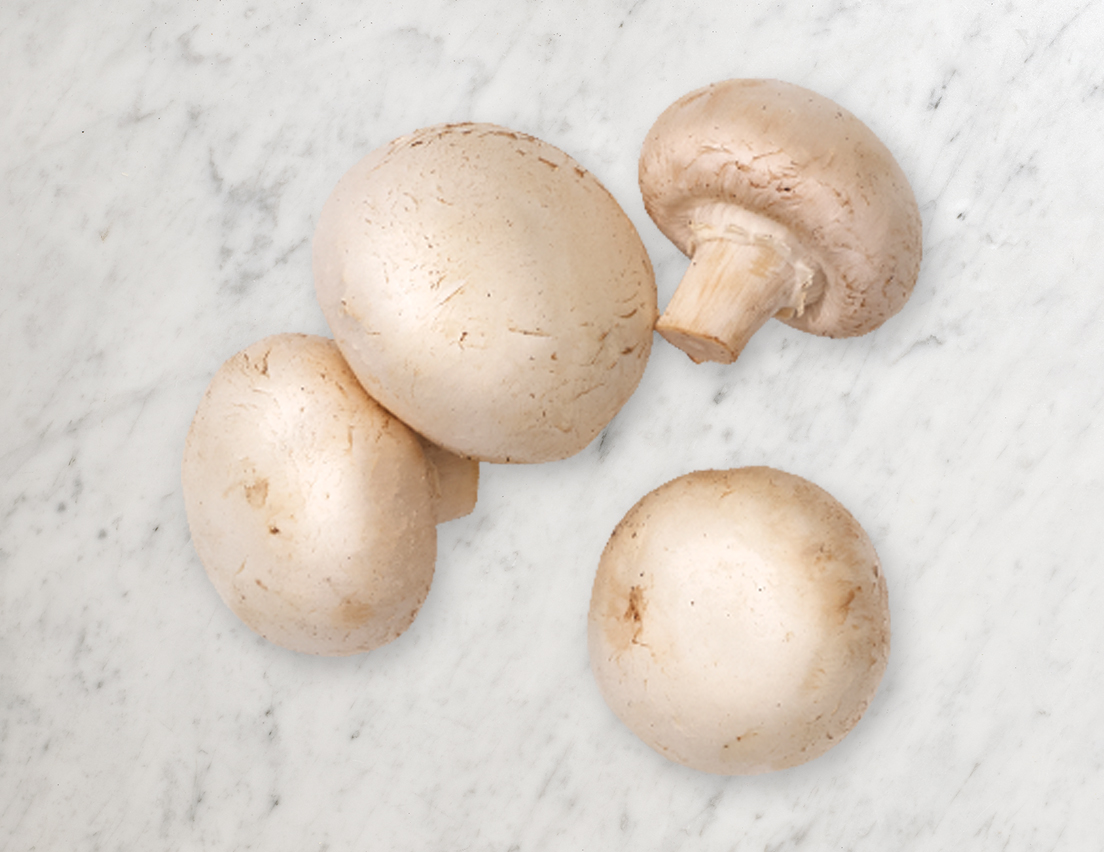 Fresh Mushrooms