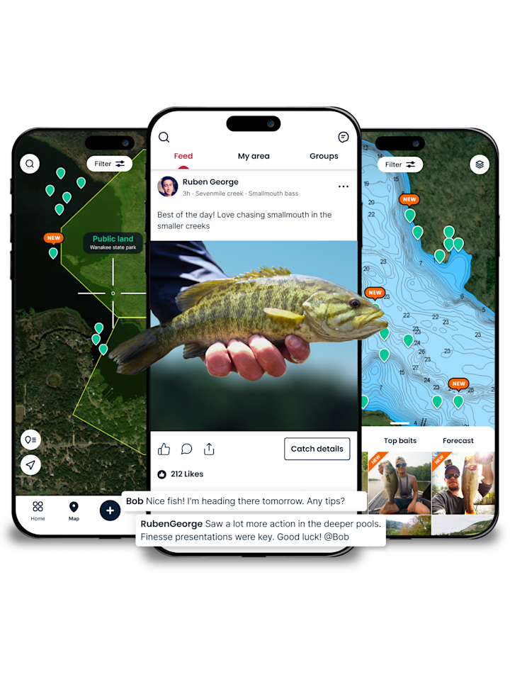Fishbrain Spring 2024