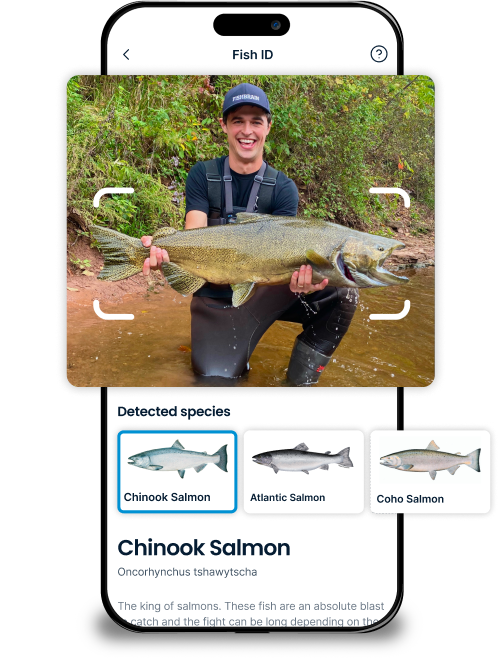 Fishbrain Spring 2024