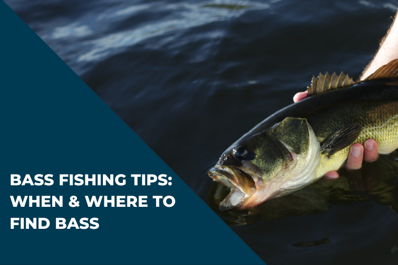 Bass fishing tips - Where & when to find bass