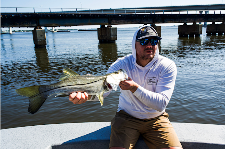 Florida snook fishing regulations