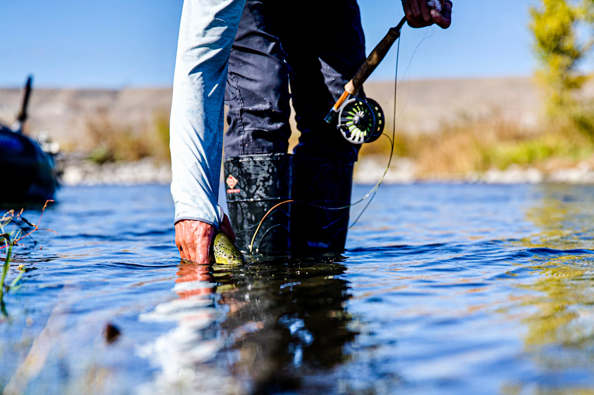 How to handle fish safely