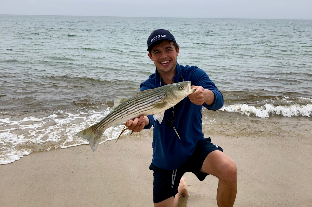 striper regulations