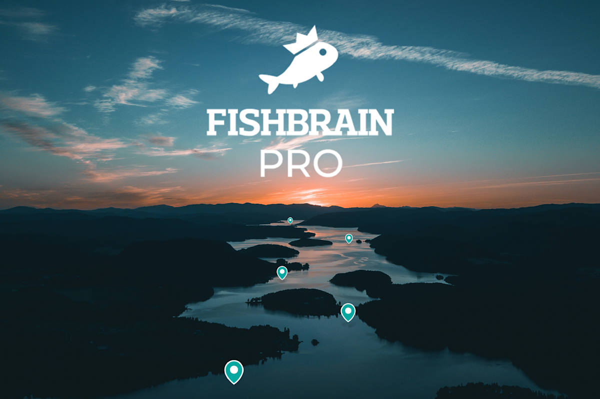 Introducing Fishbrain Pro