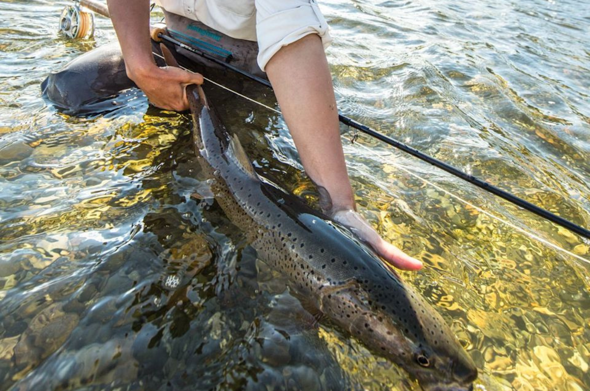 Fishing bucket list