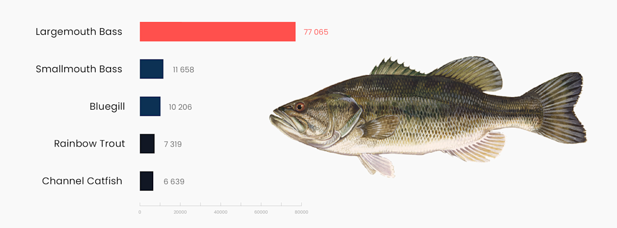 Most caught species in May on Fishbrain