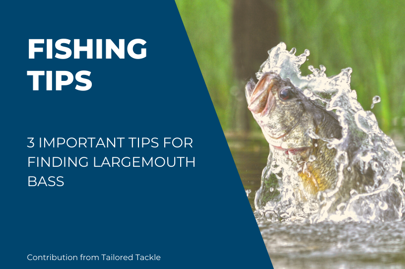 Tips for finding largemouth bass