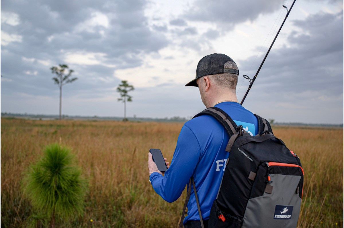 Fishbrain new features