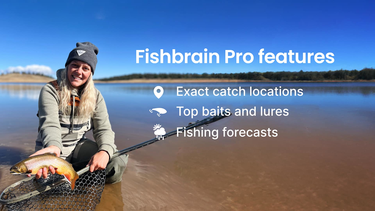 Fishbrain Pro features that help you fish smarter