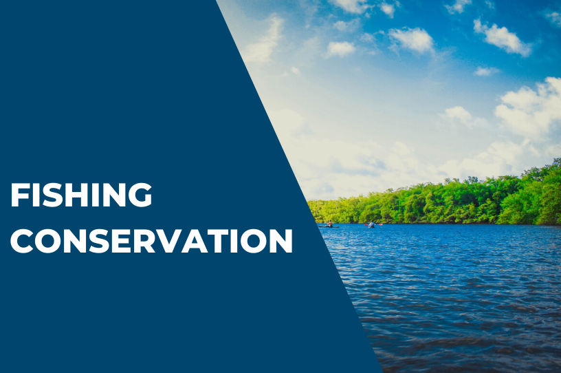 Fishing best practices and sustainability