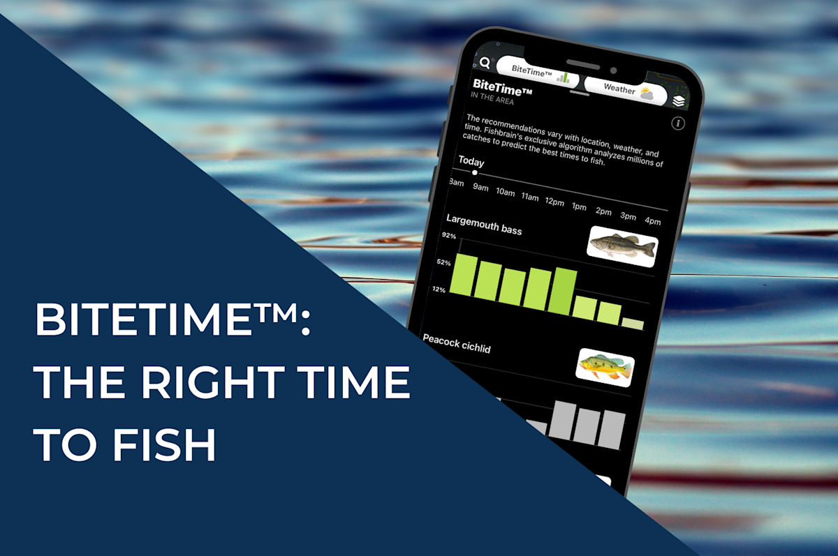 Fish BiteTime, knowing the right time to fish
