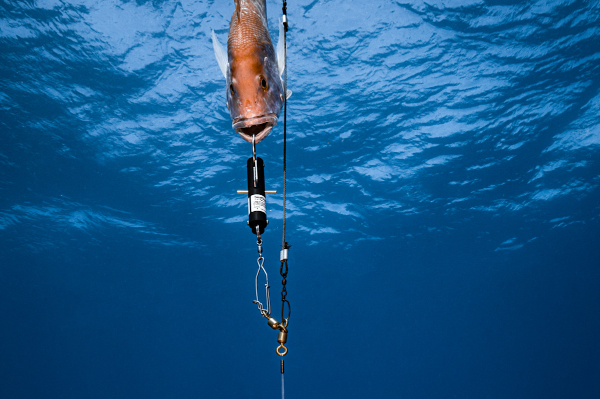 Q&A with Nick Haddad of Return 'Em Right