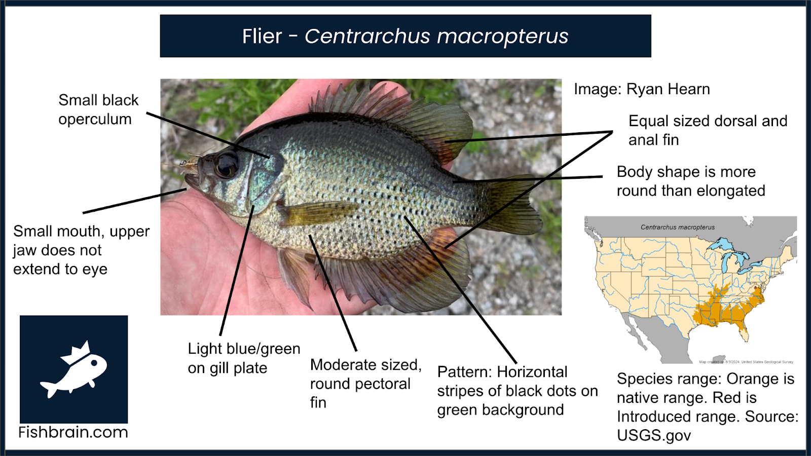 Fish Brain Location Fishing Spots Near Me