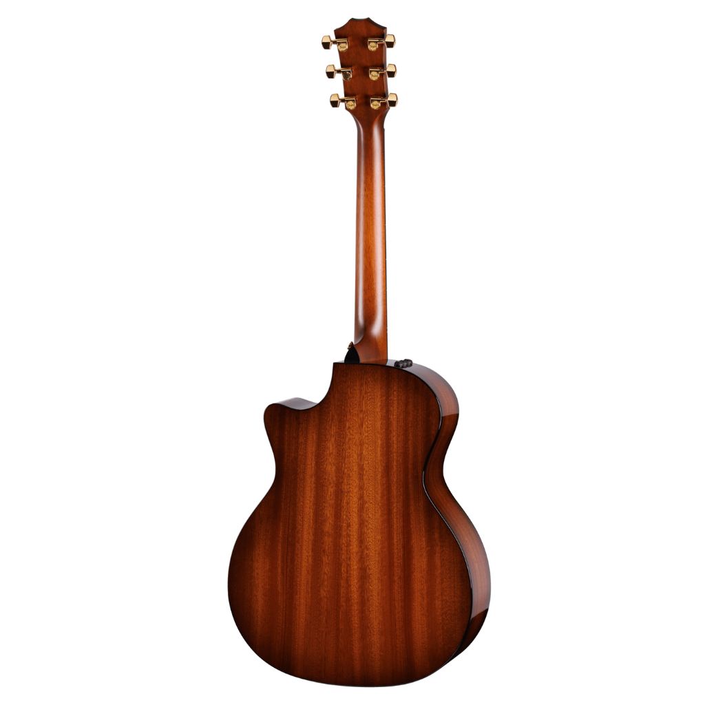 Taylor 50th Anniversary 314ce LTD Acoustic Guitar