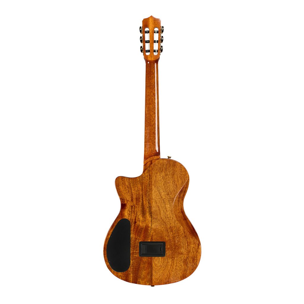 Córdoba Guitars Stage Artist Agave Burst Nylon-String Electric Guitar ...