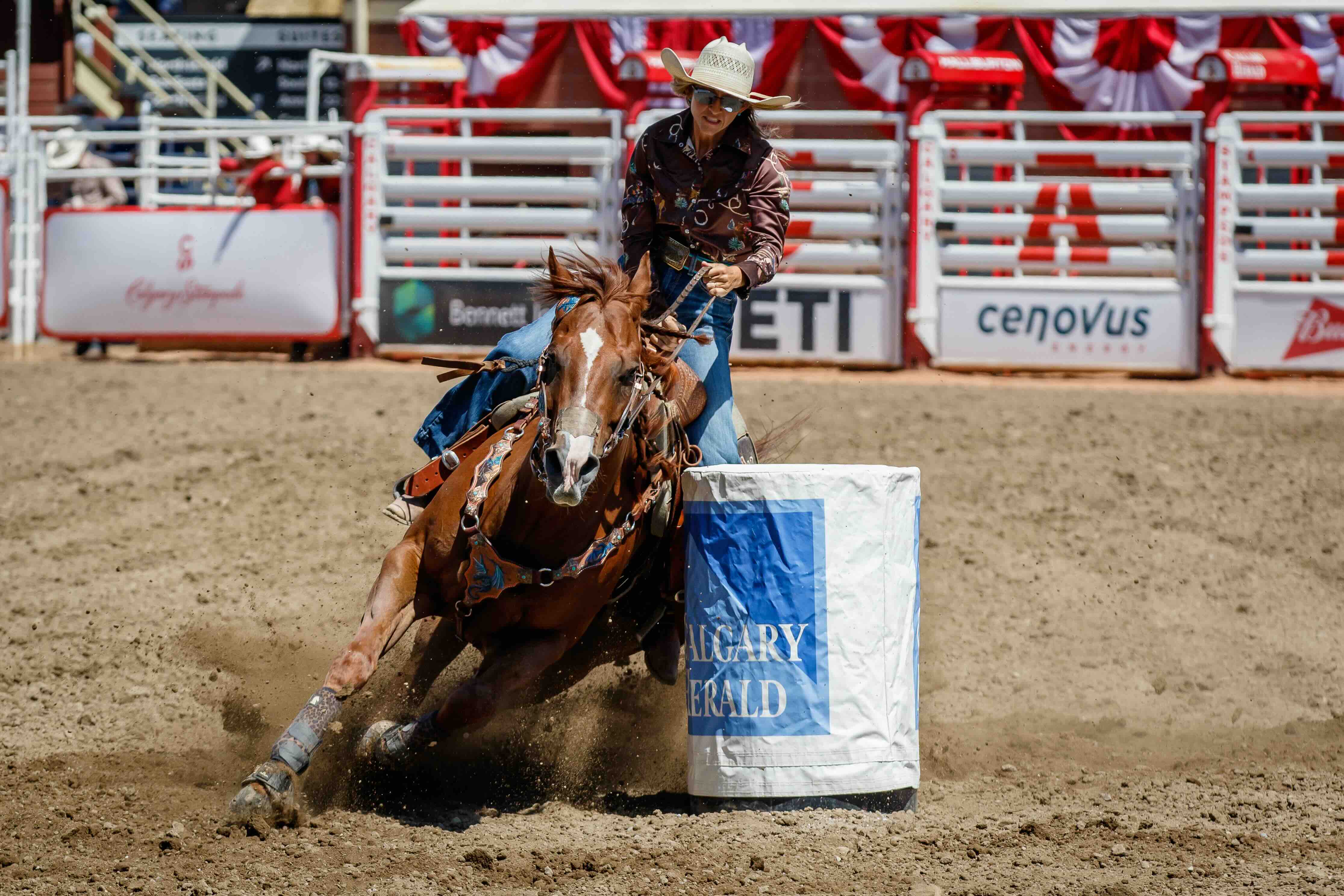Premium Seating - Infield Suites | Calgary Stampede
