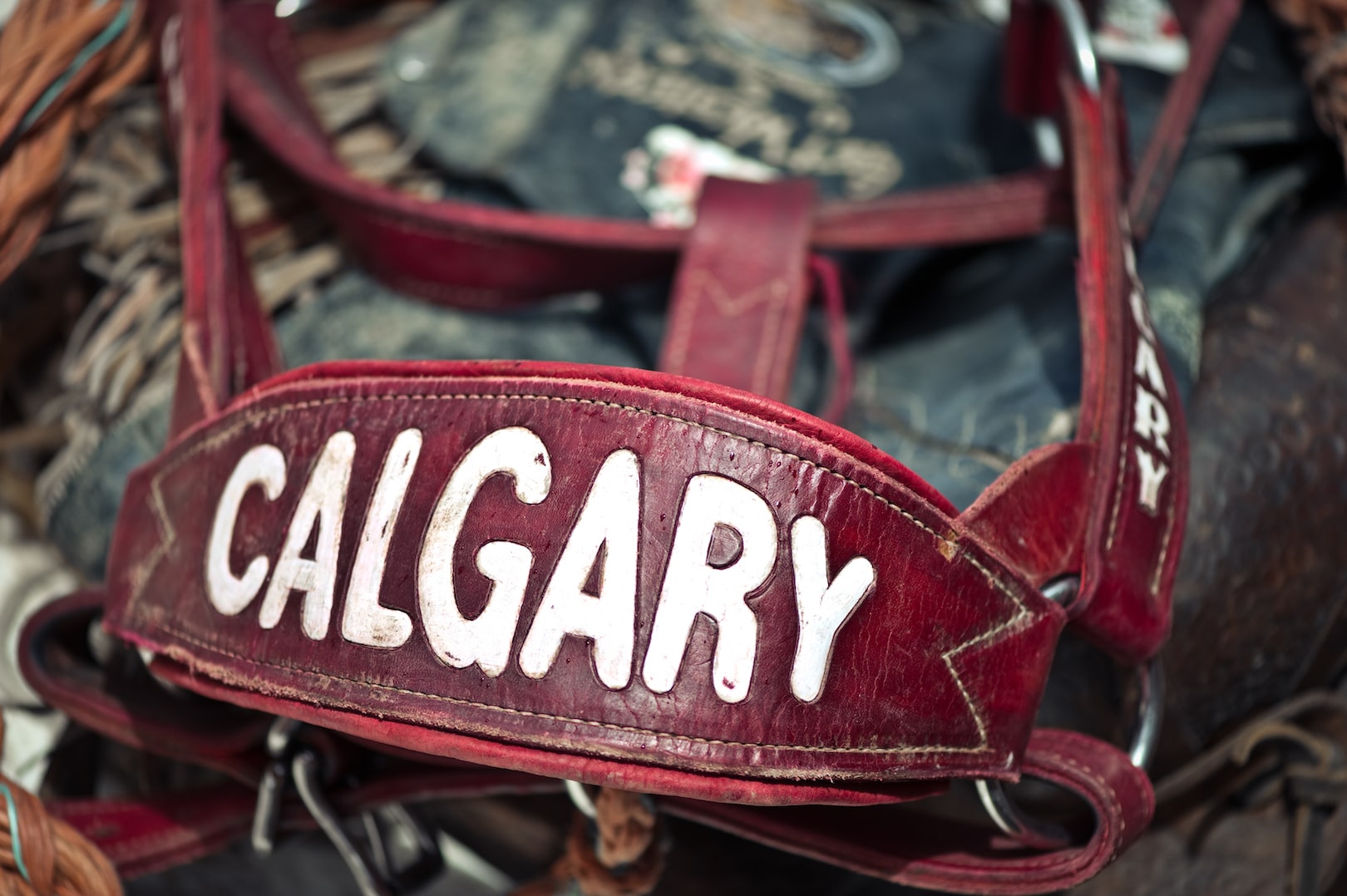 Invitation Tool Kit - Premium Seating | Calgary Stampede