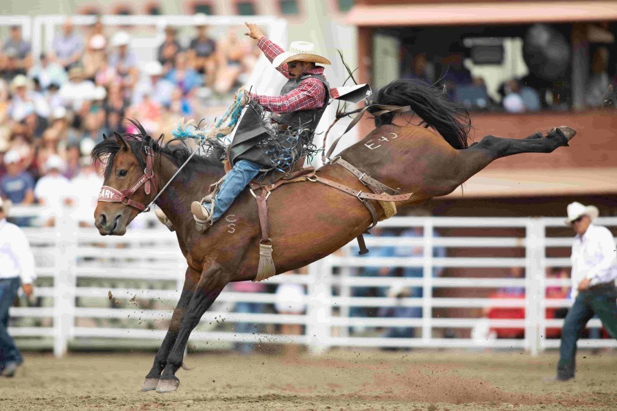 Invitation Tool Kit - Premium Seating | Calgary Stampede