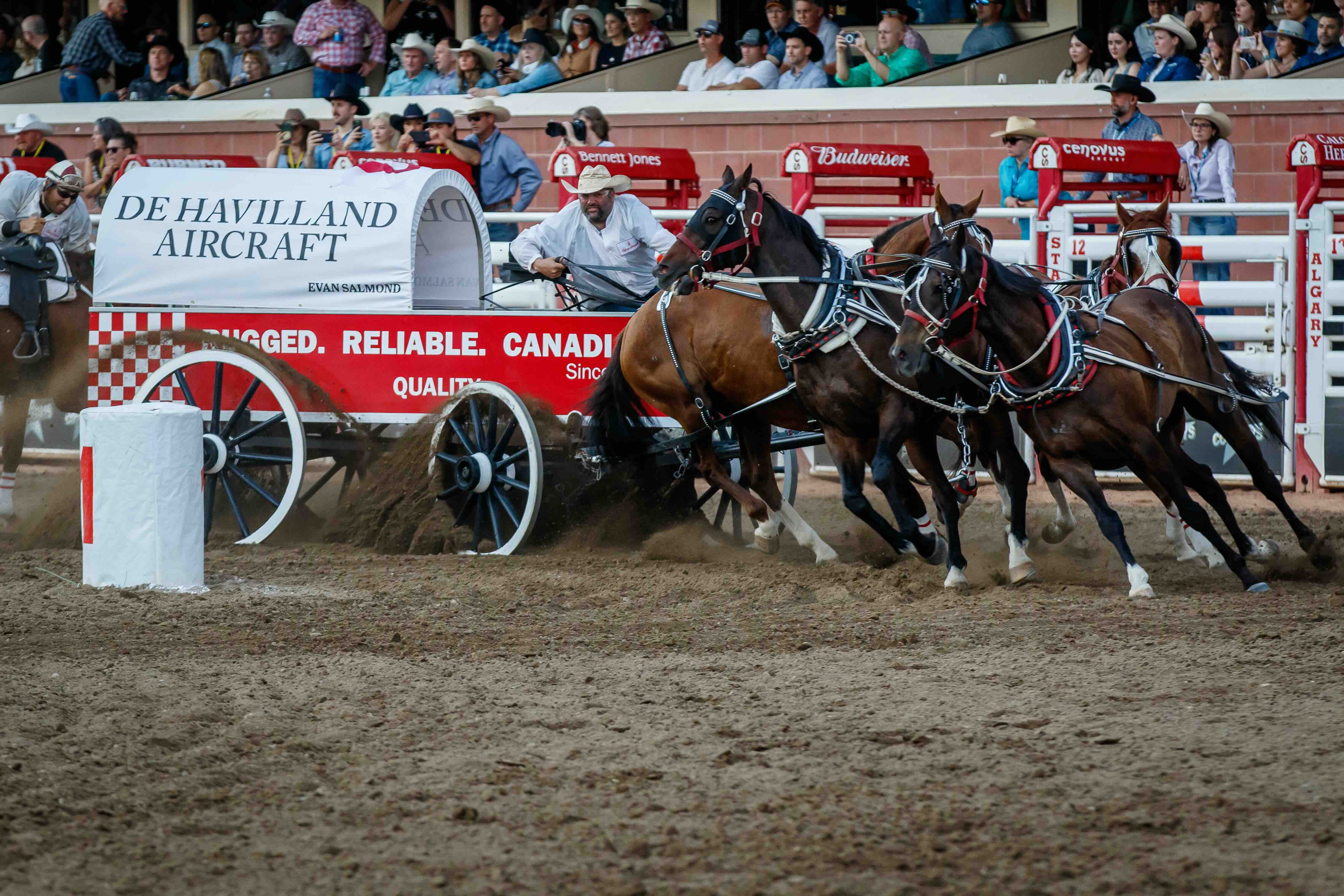 Premium Seating - Infield Suites | Calgary Stampede