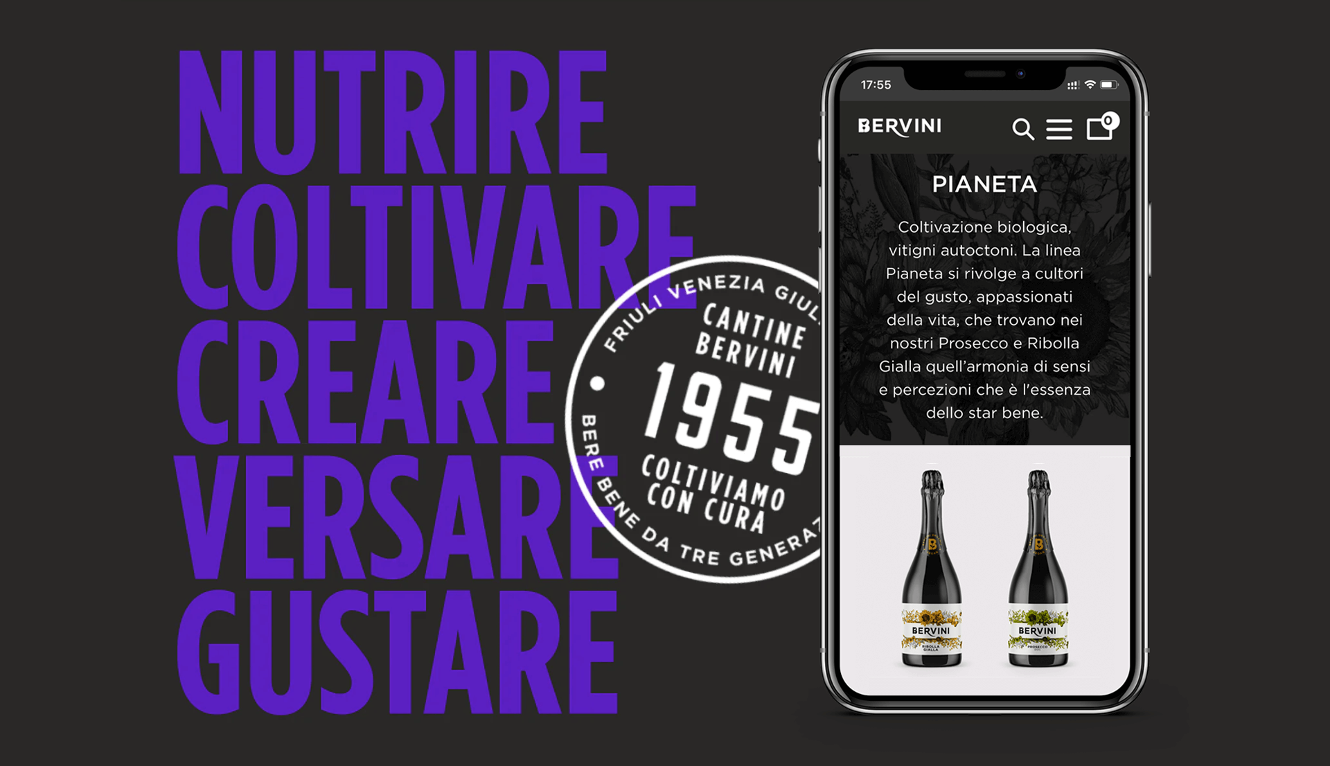 Bervini Website and Online Launch