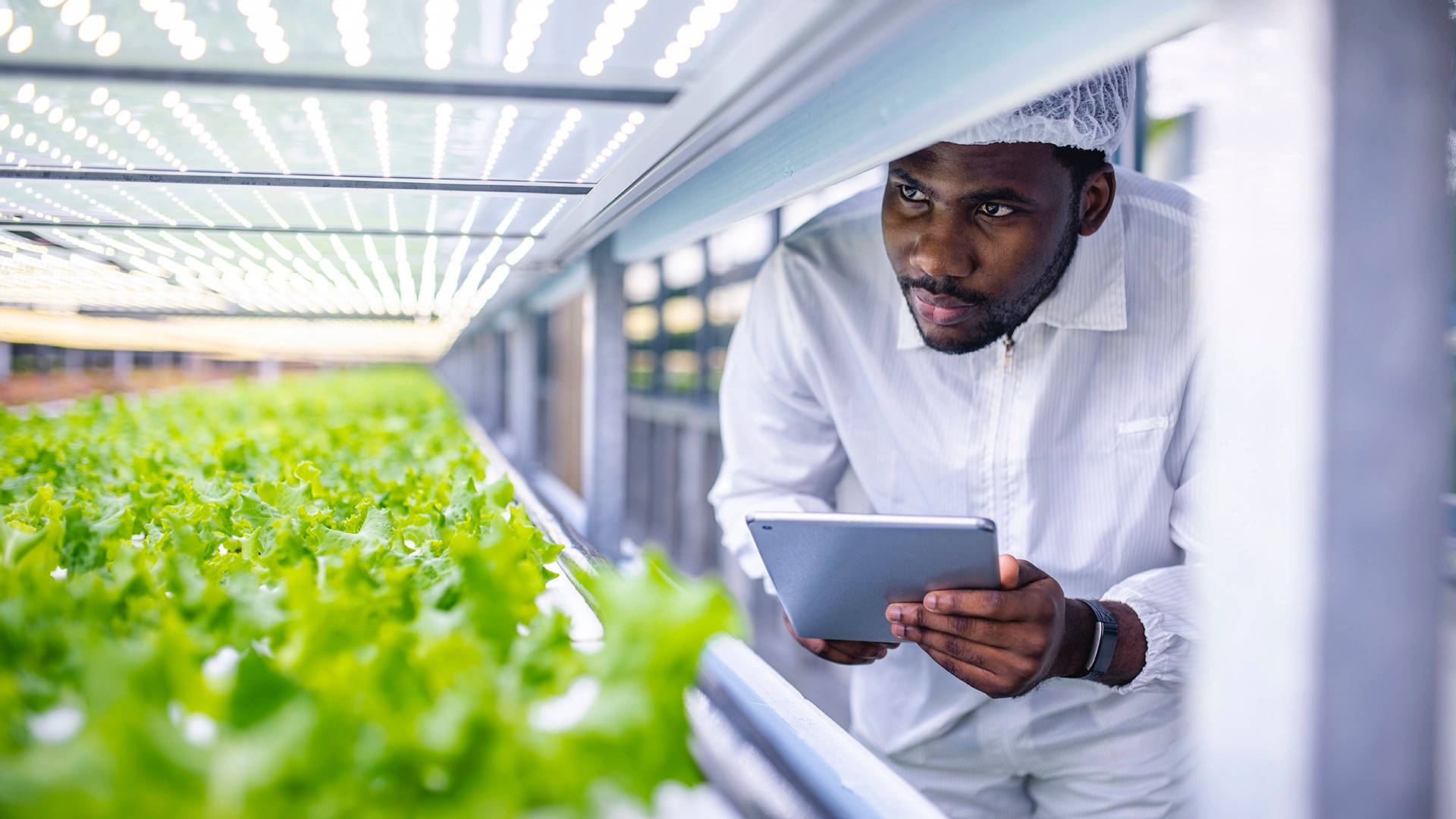 Food Technology Needs a Regulatory Revolution