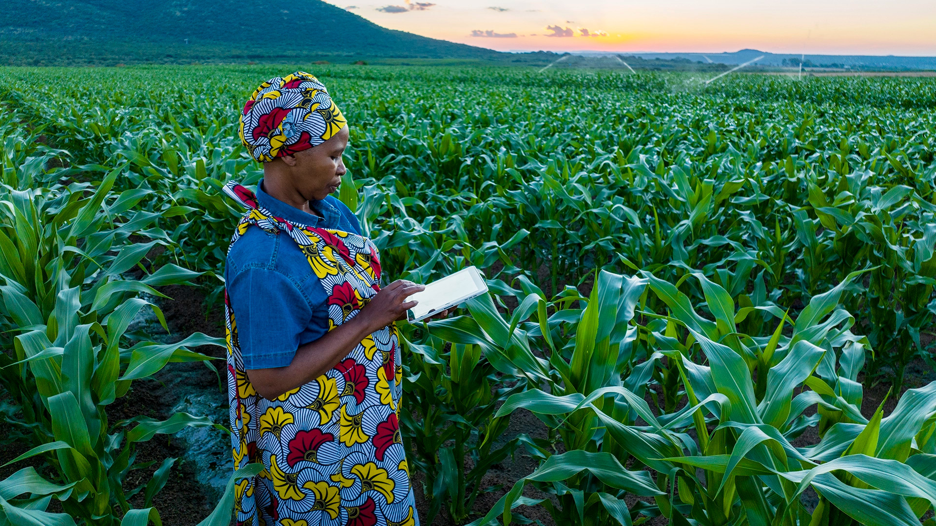 Reaping the Rewards of the Next Technological Revolution: How Africa ...