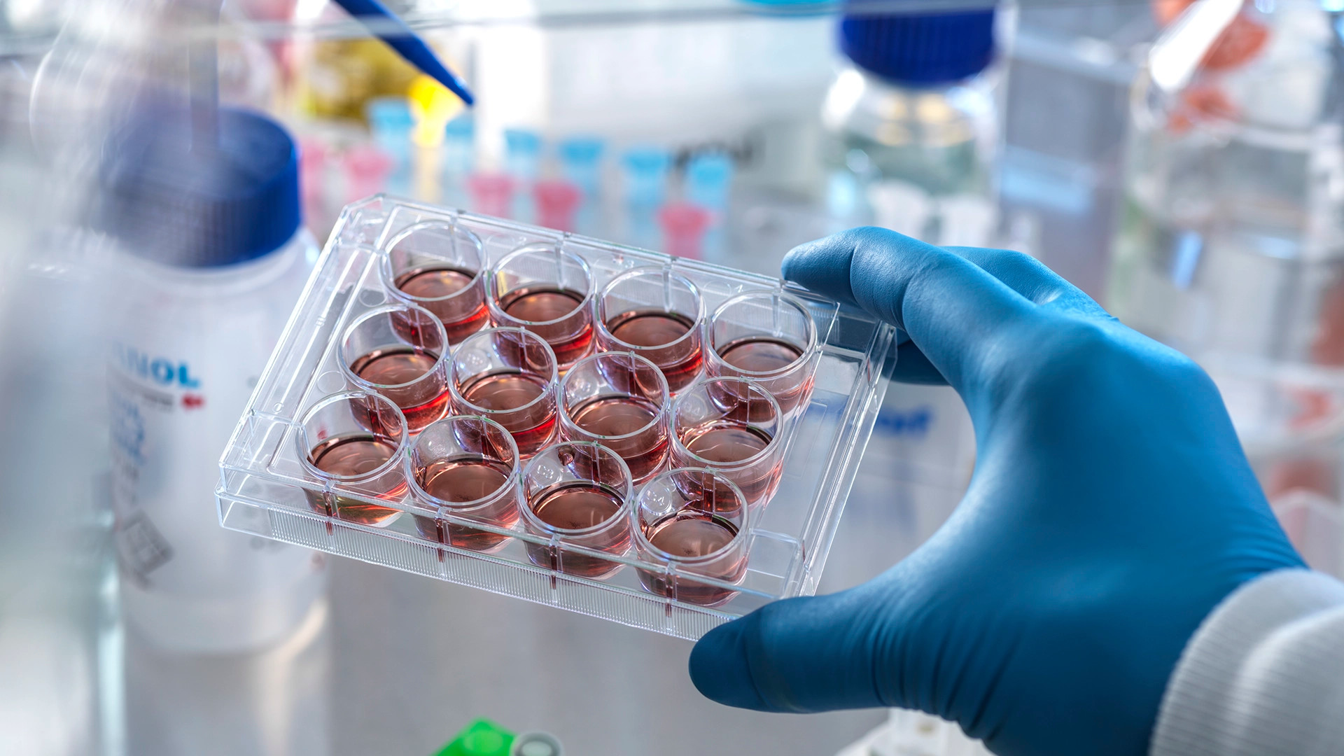Managing the Covid-19 Pandemic: Therapeutics Are as Important as Vaccines