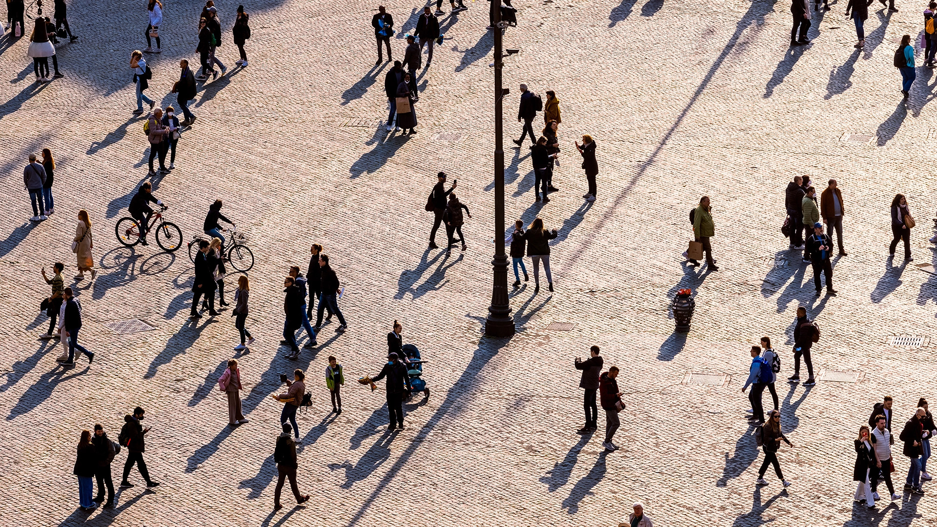 Swarm Learning: Expert Explainer