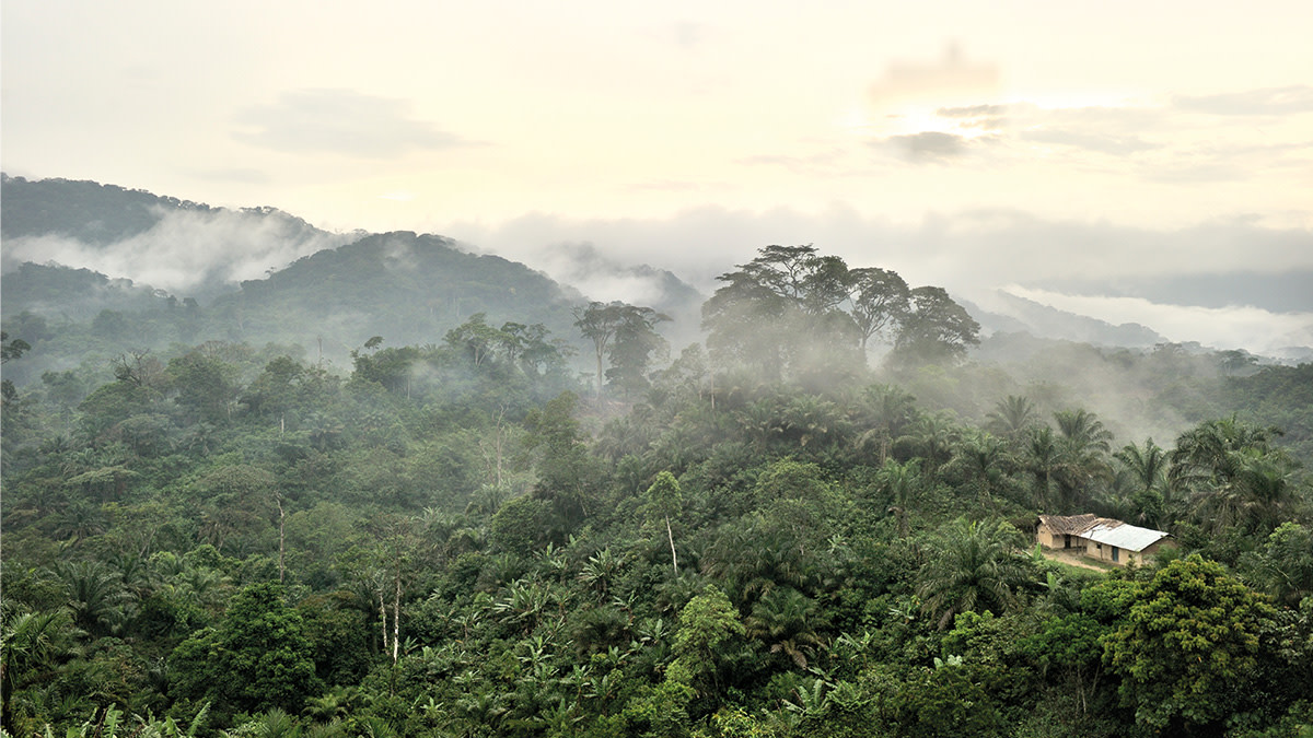 Leaving No One Behind: DRC’s Rural-Electrification Agency Commits to ...