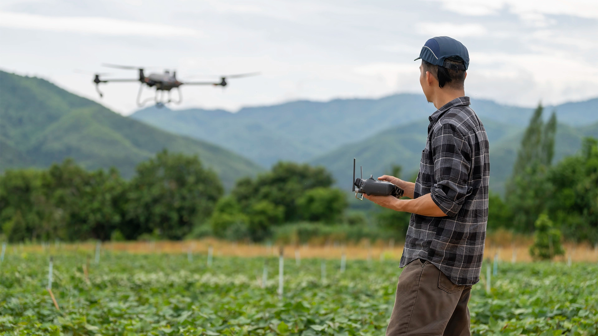 Beyond Renewables and Carbon Capture: How Governments Can Harness AI ...