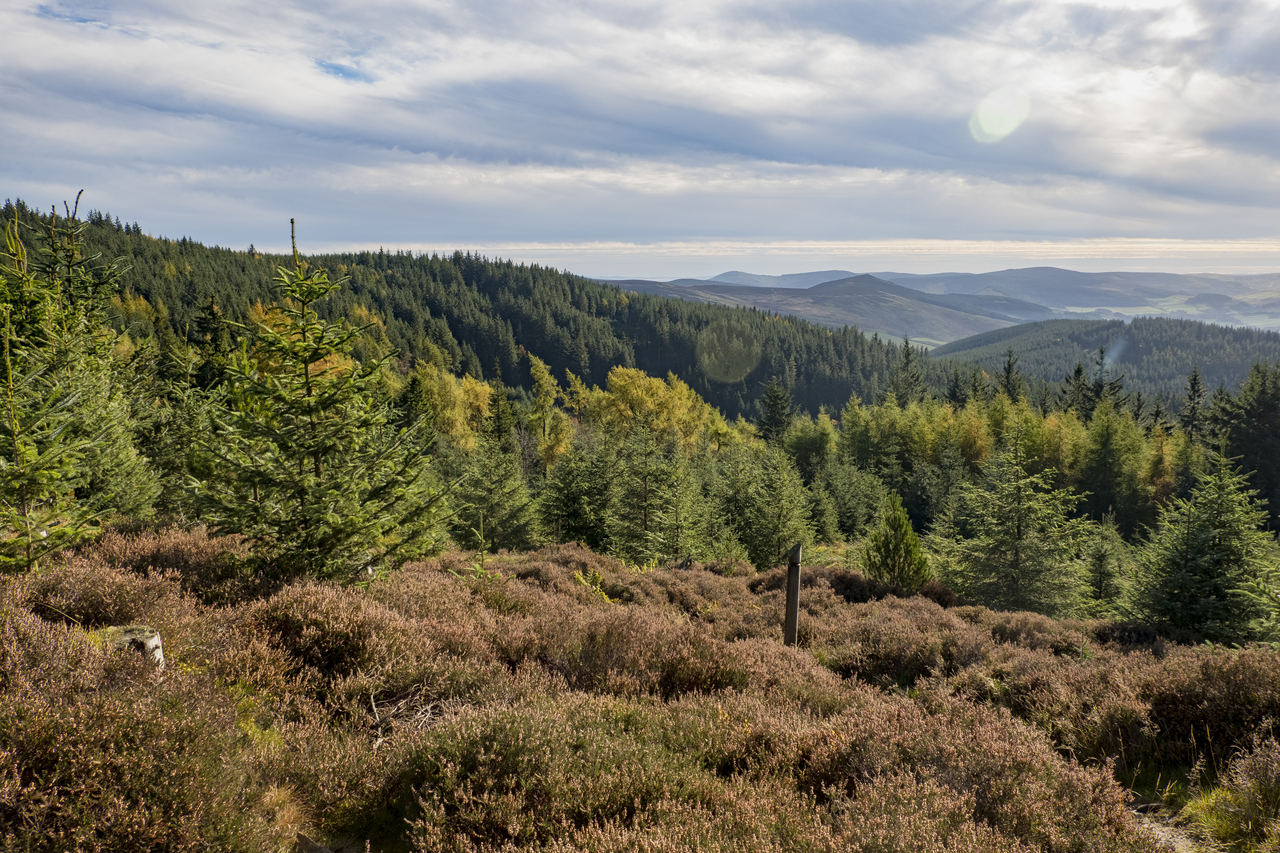 UCI Cycling World Championships: XCM to open mountain bike racing in ...