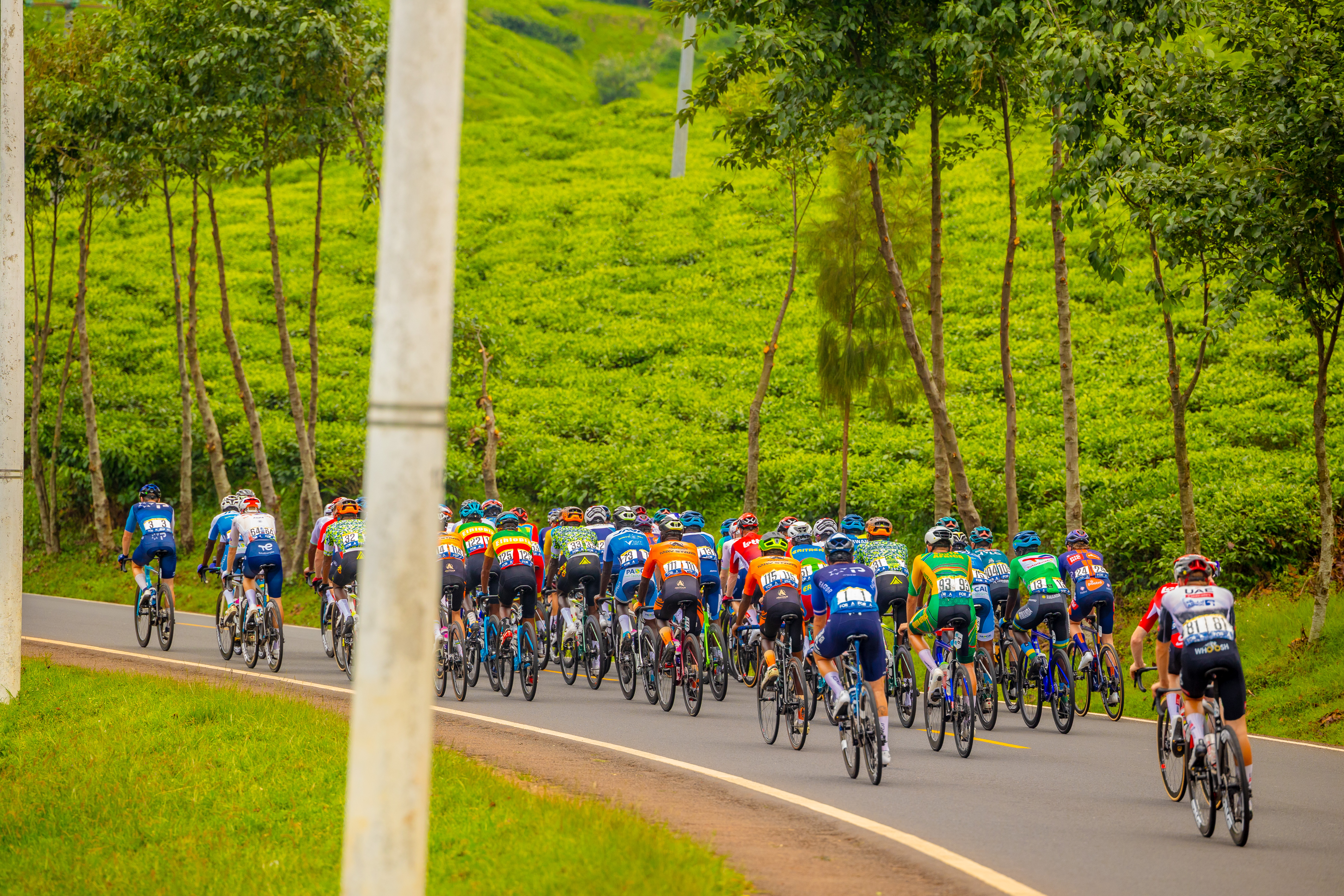 Where to watch the 2025 UCI Road World Championships | UCI