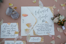 A Complete Guide To Wedding Reception Invitation Wording Zola Expert 