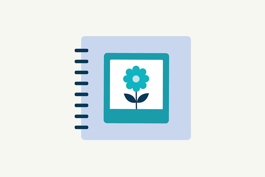 Engagement Photo Book: Tips + 10 Ideas - Zola Expert Wedding Advice