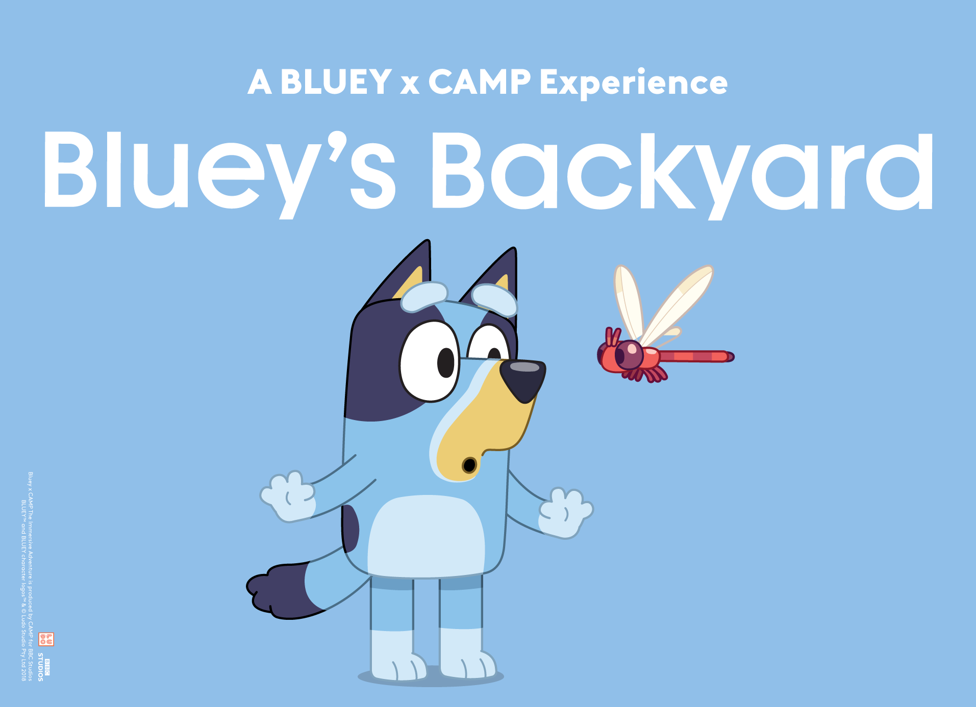 Bluey x CAMP: Bluey's Backyard at CAMP Miami | Camp