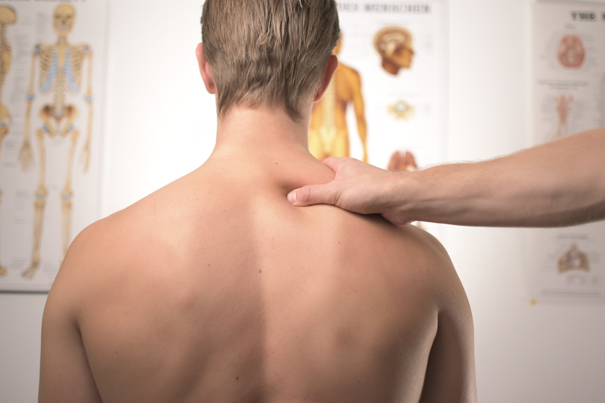 Physiotherapist Renewal Of Registration Changes Lander Rogers physiotherapist-renewal-of-registration-changes-lander-rogers