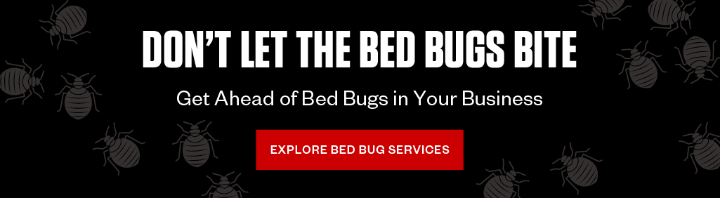 Orkin Bed Bug Prep Sheet PDF) A Code Of Practice For The Control Of