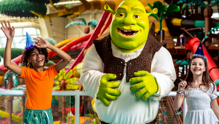 Birthday Party Package at DreamWorks Water Park - Private Party Rooms