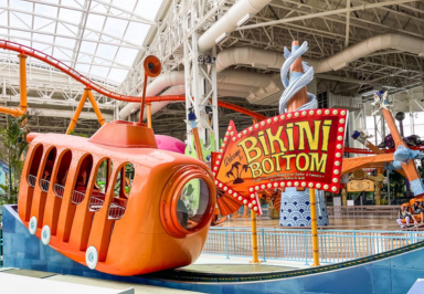 Bikini Bottom Express Train